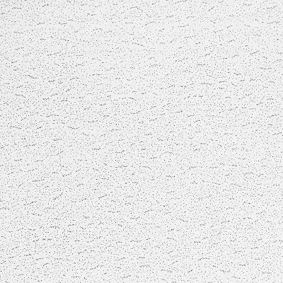 Armstrong Ceilings Textured FIRE GUARD 24-in x 48-in Ceiling Panels ...